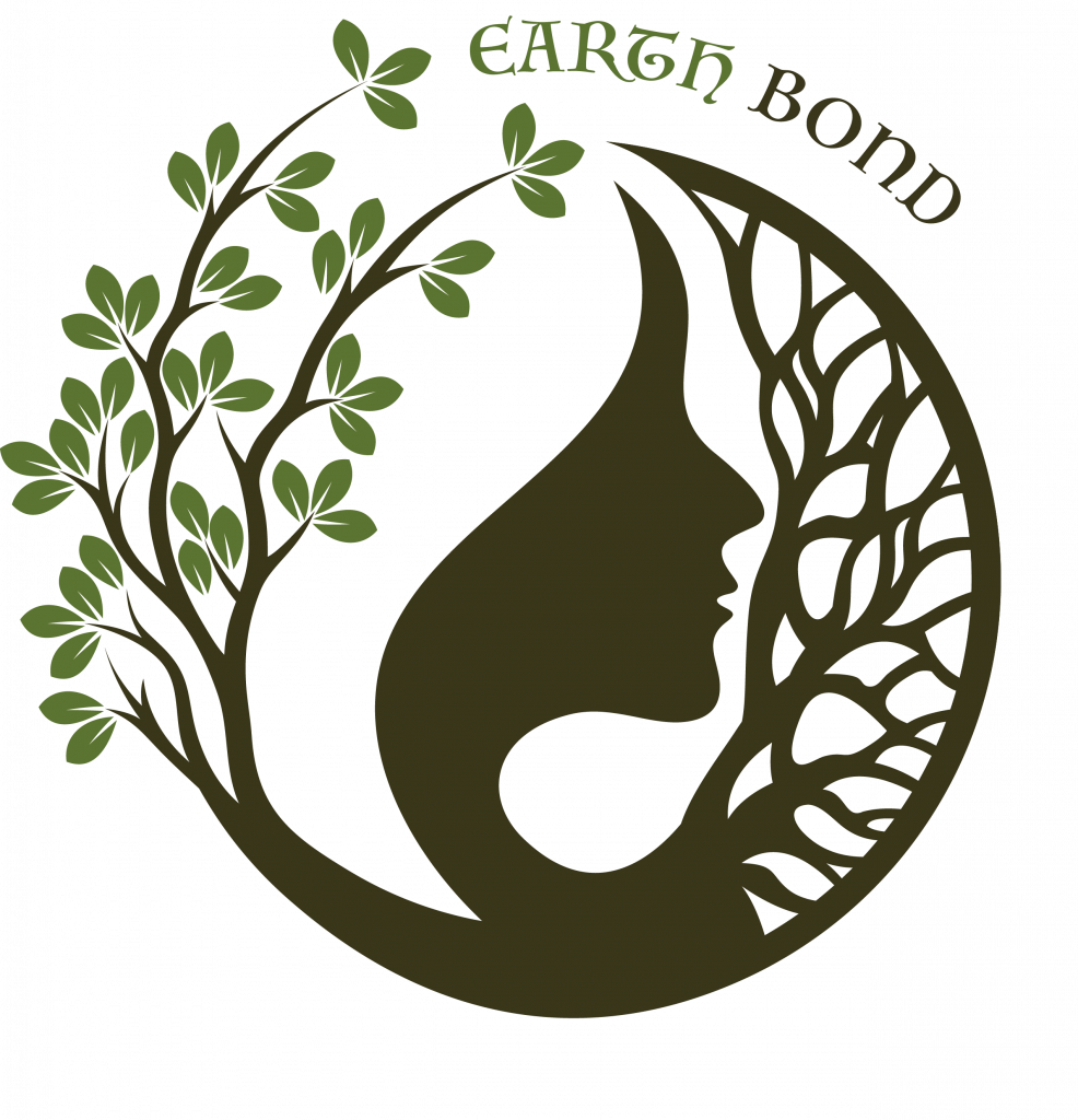 Earth Bond Program - Unifying Fields